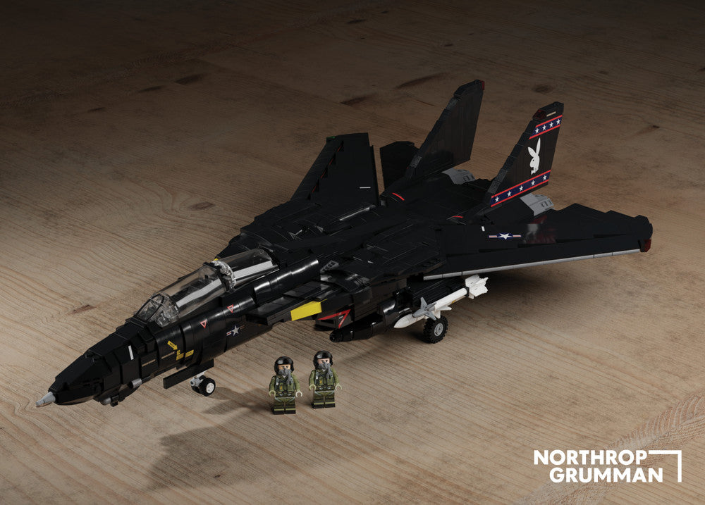 F-14D Tomcat® – VX9 The Vampires "Vandy-1" – MOMCOM inc.